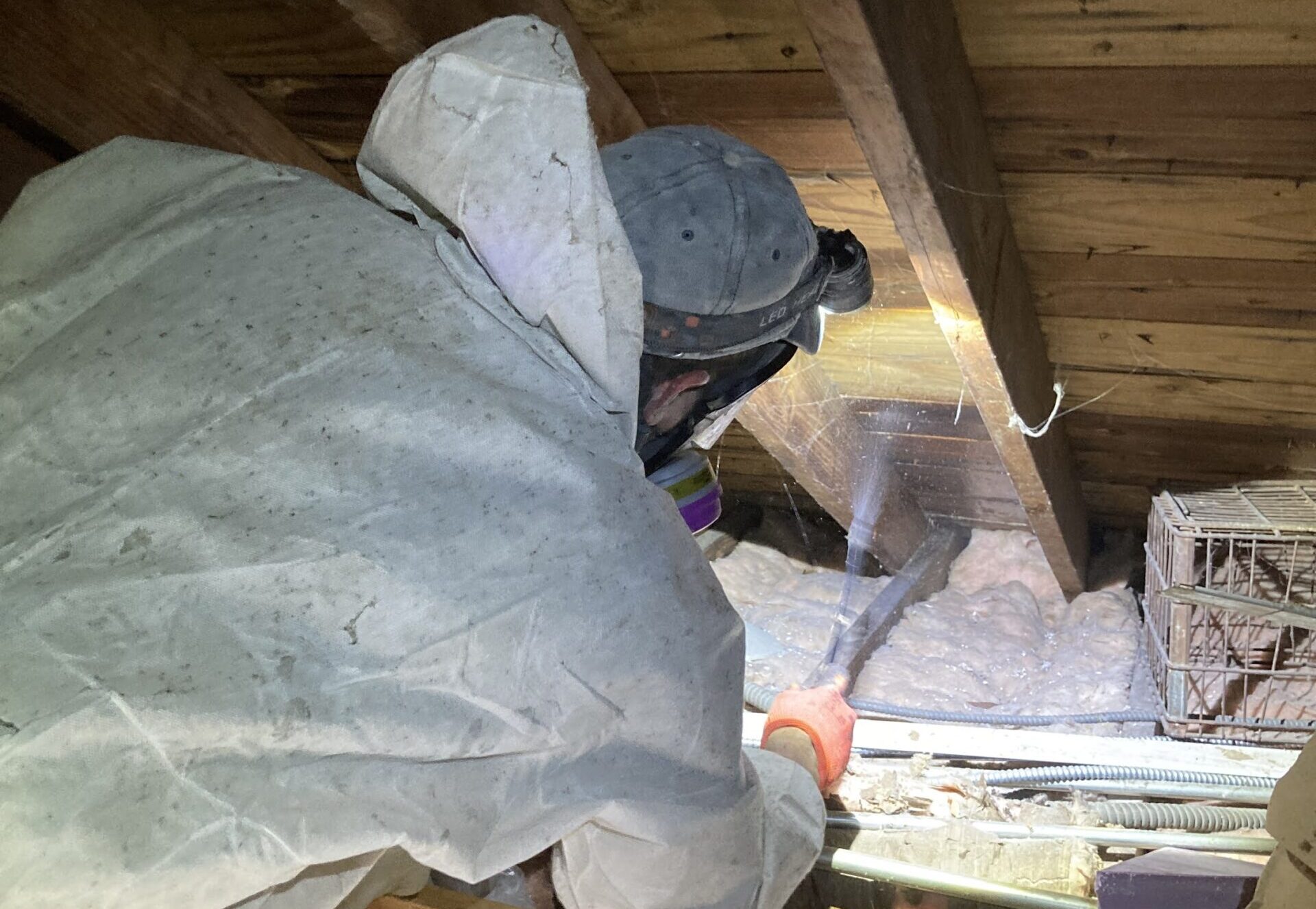 What to Expect During Mold Remediation: A Step-by-Step Guide | ARC ...