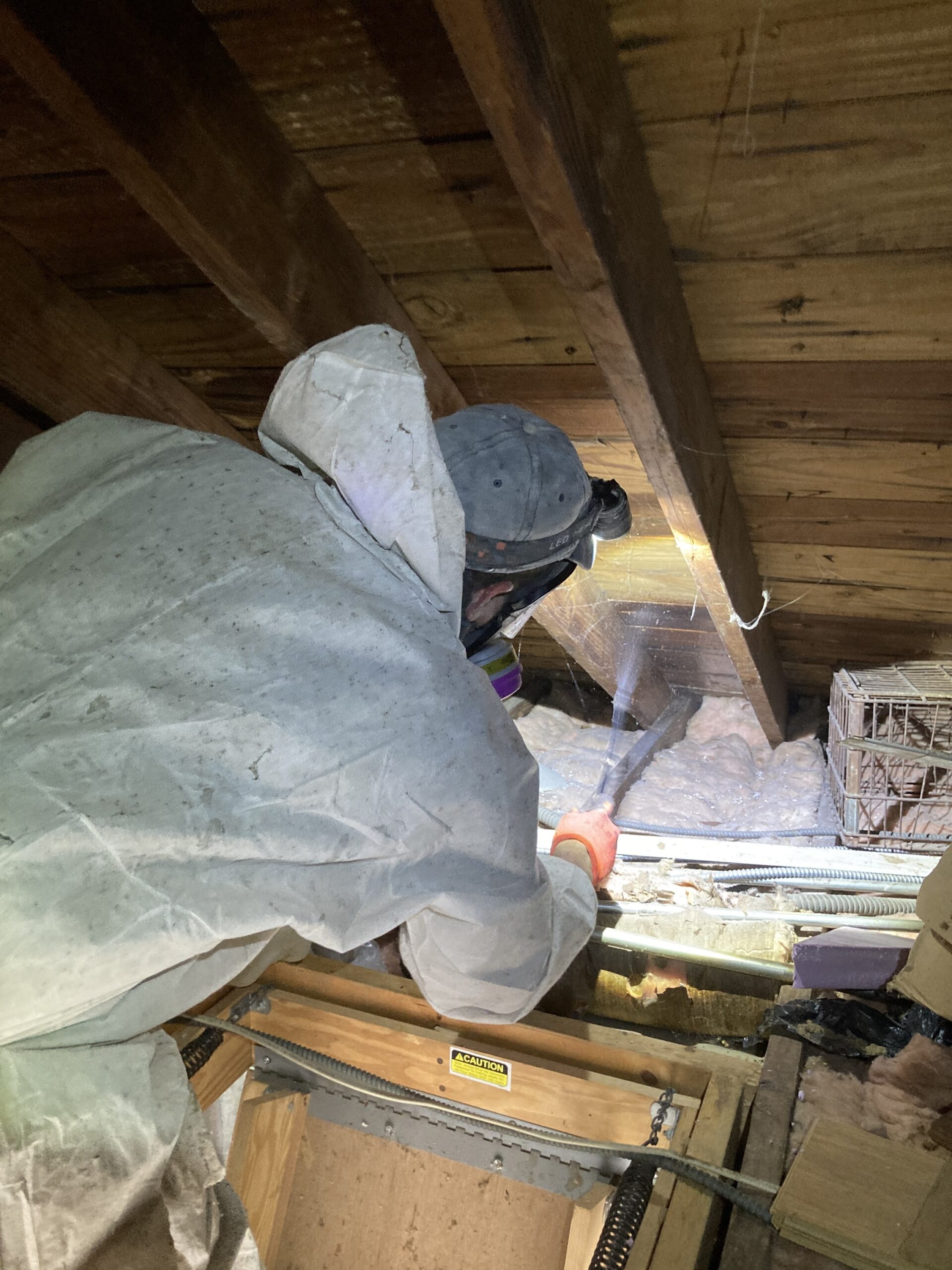 Spring Mold Problems & How to Fix Them | ARC Insulation | Chicagoland