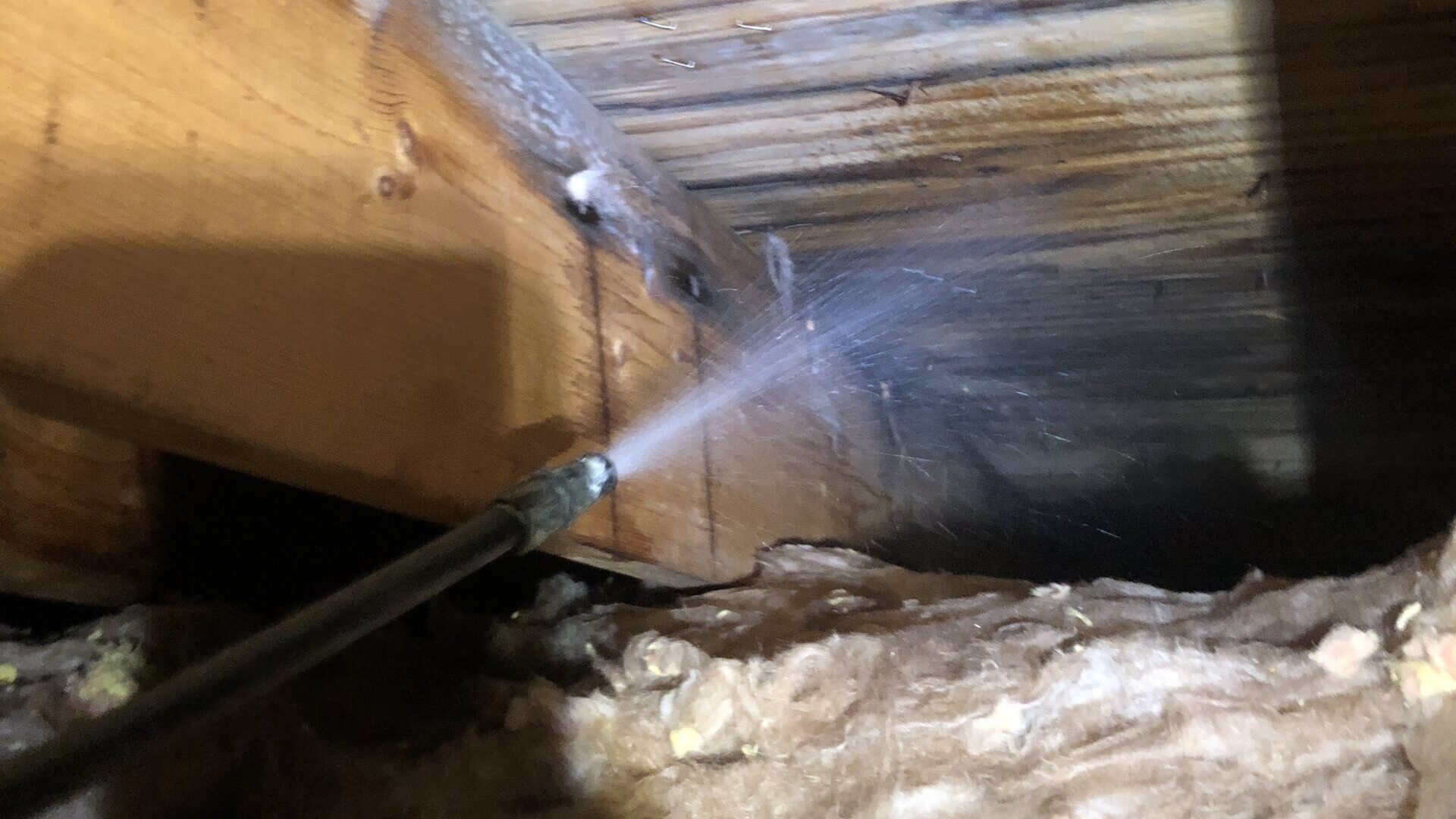 How to Get Rid of Mold in Your Home | ARC Insulation | Chicagoland